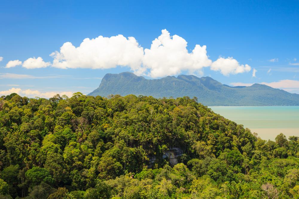 12 Best Sabah Trips, Tours, Cruises & Vacation Packages - Adventure Life